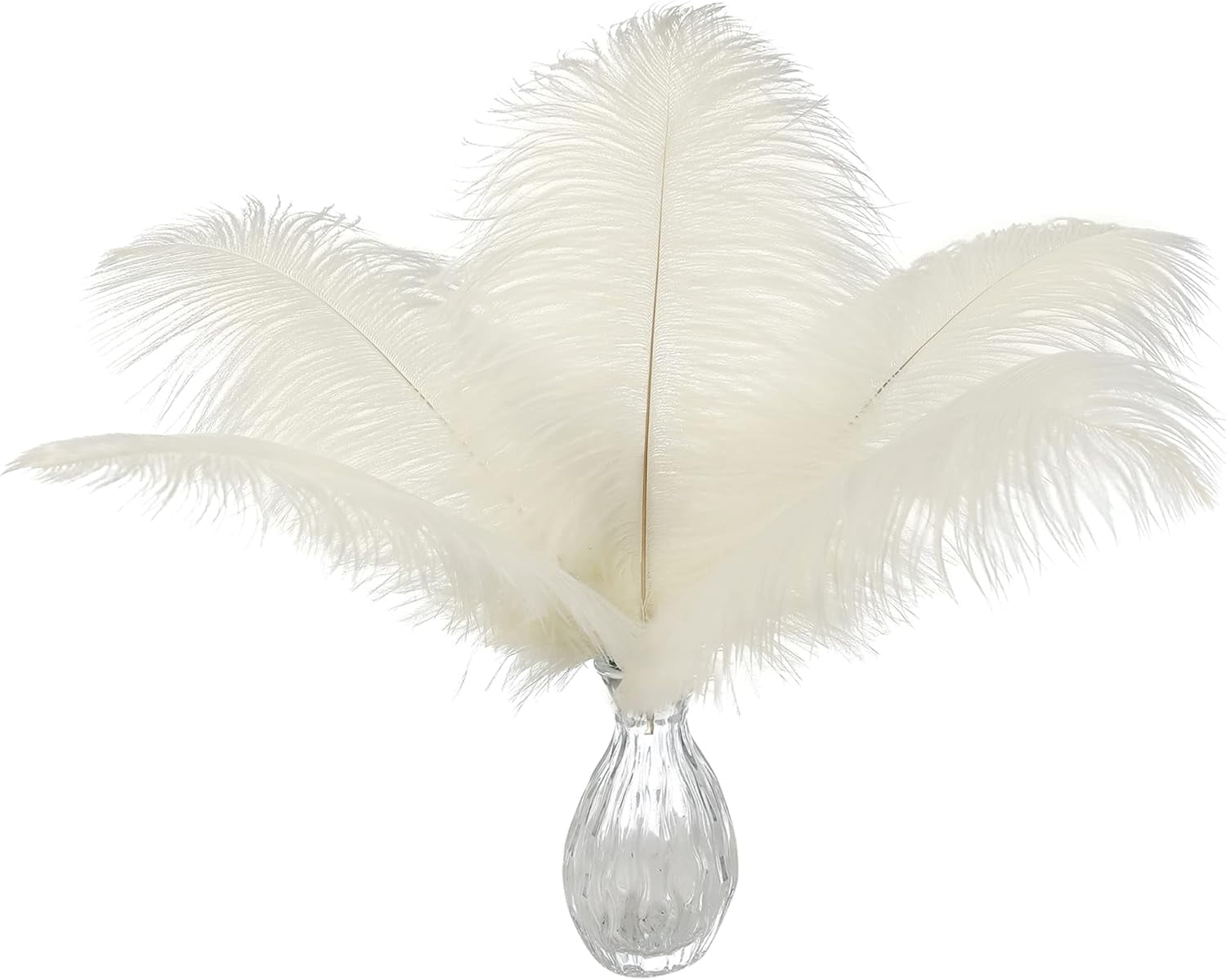Beige Ostrich Feathers Bulk - 24pcs 12-14inch Cream Feathers for Vase ...