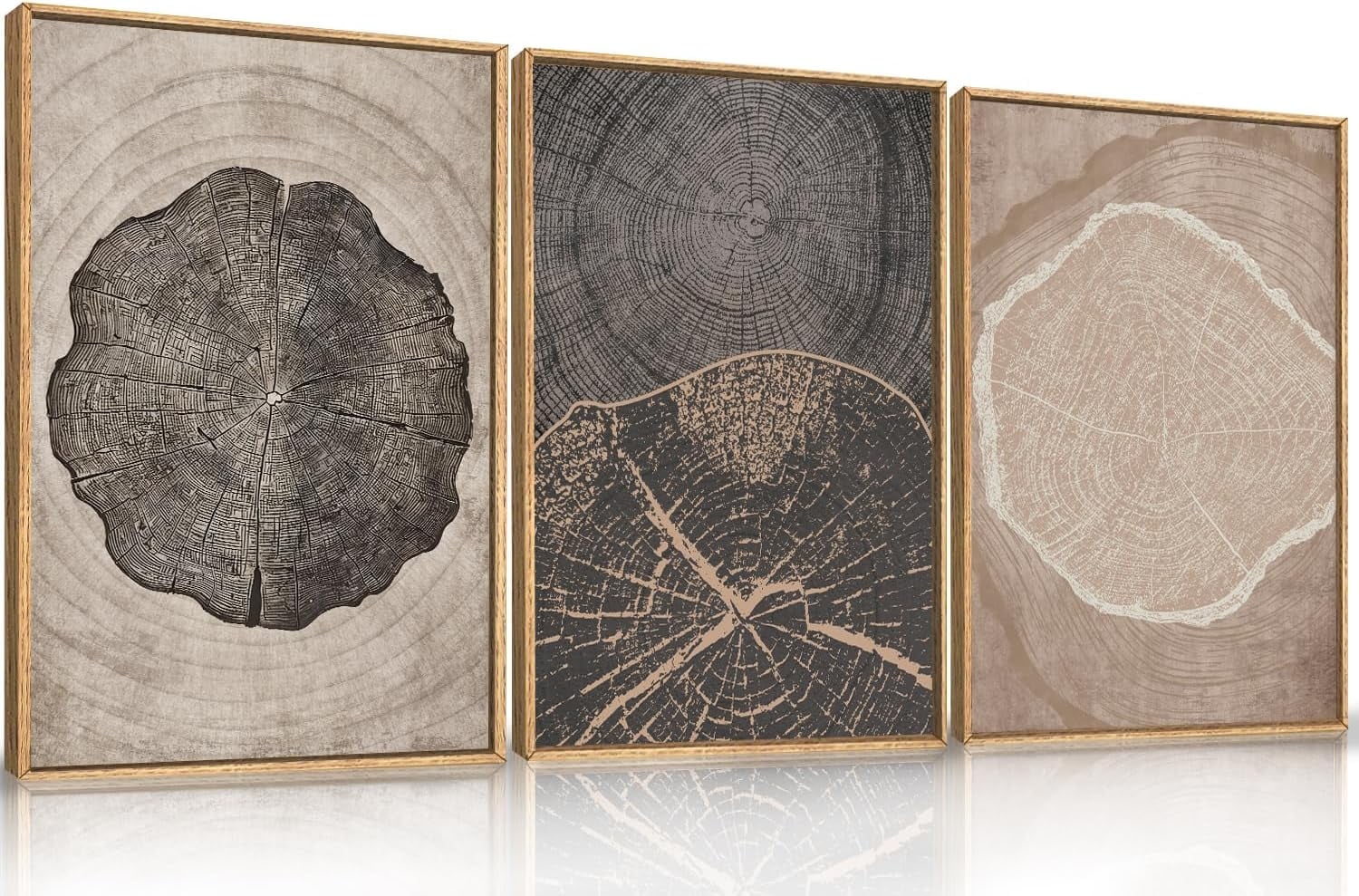 Beige Tree Ring Framed Canvas Wall Art Set, Neutral Modern Wood Stump ...