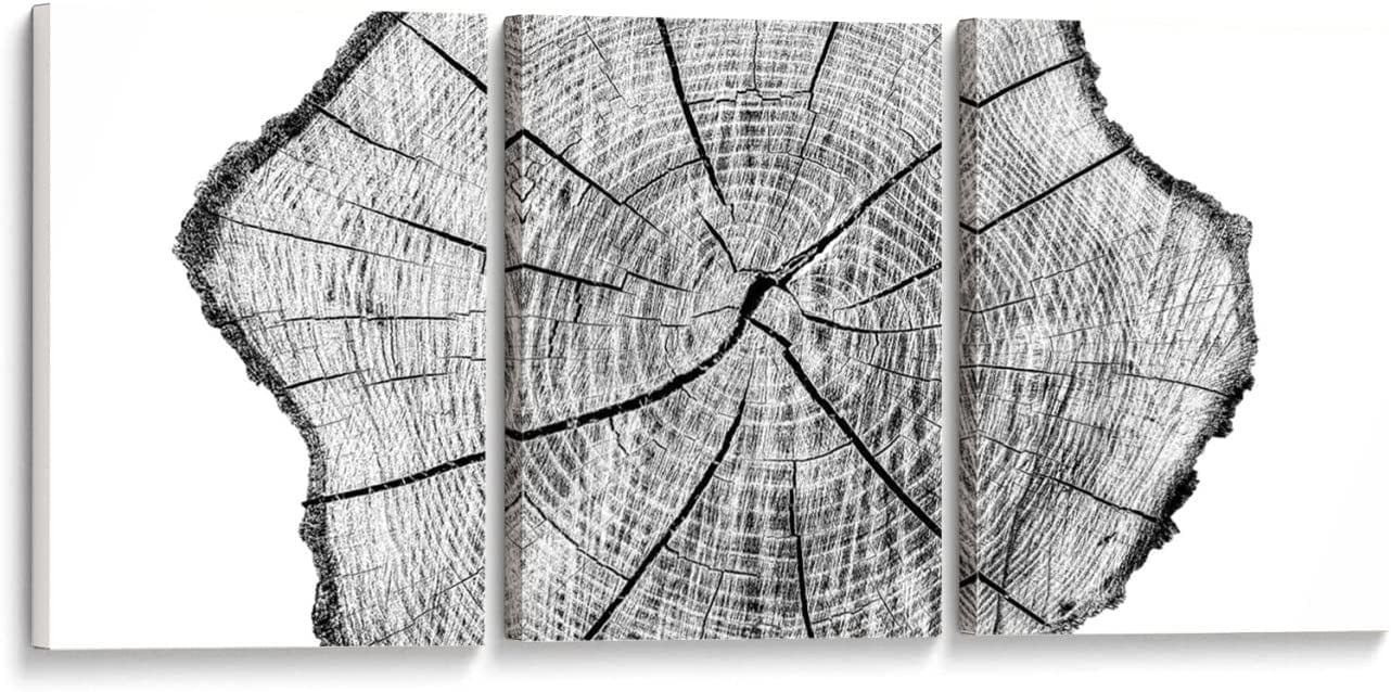 Beige Tree Ring Prints Set of 3 Nordic Tree Stump Art for Bedroom ...