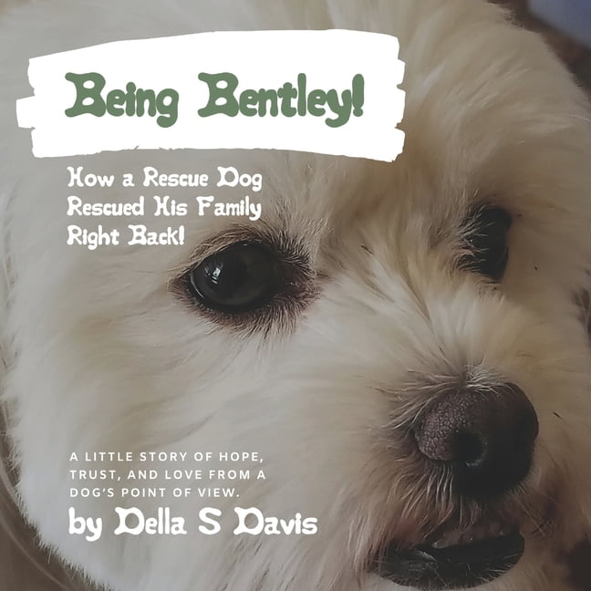 Being Bentley!: How a Rescue Dog Rescued His Family Right Back! A ...