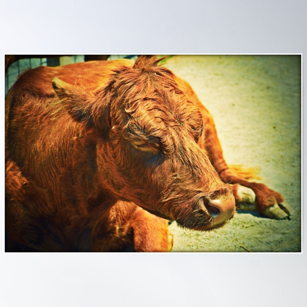 Being Lazy Poster Wall Art, Modern Wall Decor For Living Room Bedroom ...