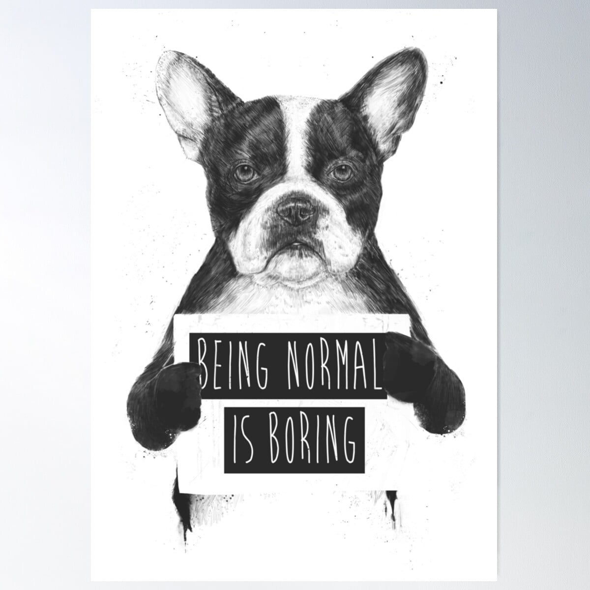 Being Normal Is Boring Poster Wall Art, Modern Wall Decor For Living ...