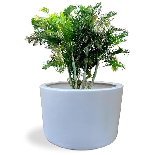 Being Safe FRP Planter 12 inch for Plants Highly Durable, Lightweight ...