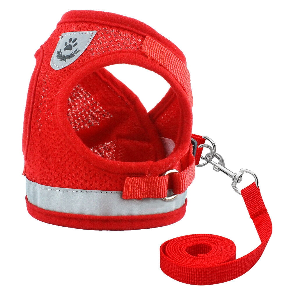 Beirui Breathable Air Mesh Dog Cat Harness and Leash set Escape Proof ...