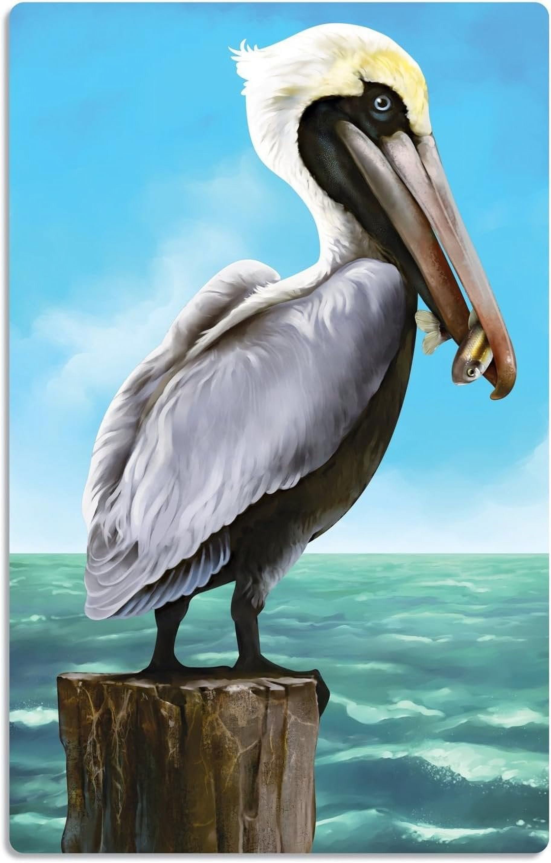 Beistle 24-Pack Pelican Cutout, 18-Inch - Walmart.com