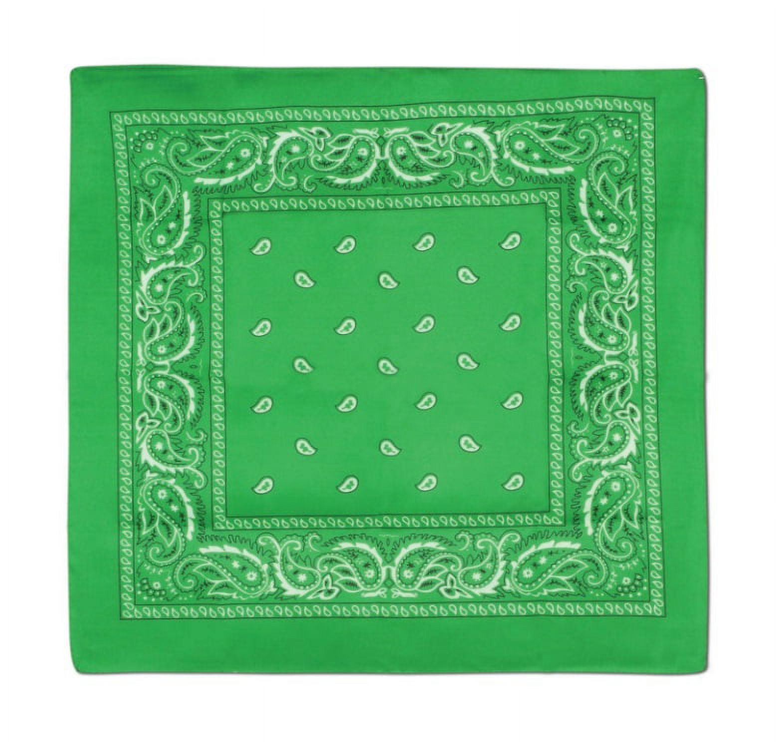 Beistle Club Pack of 12 Green and White Western Paisley Bandana Costume ...