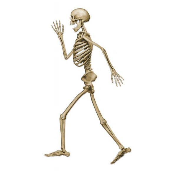 12 Foot Skeleton