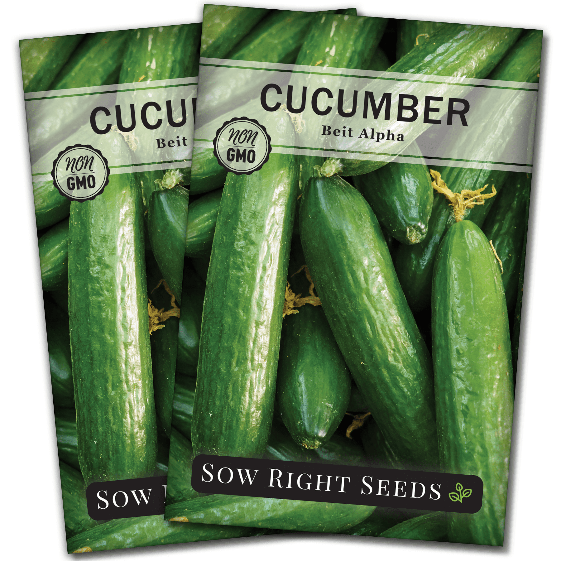 Beit Alpha Cucumber Seeds - Non GMO Heirloom Varieties for your Home ...