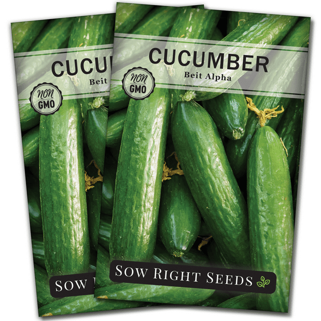 Beit Alpha Cucumber Seeds - Non GMO Heirloom Varieties for your Home ...