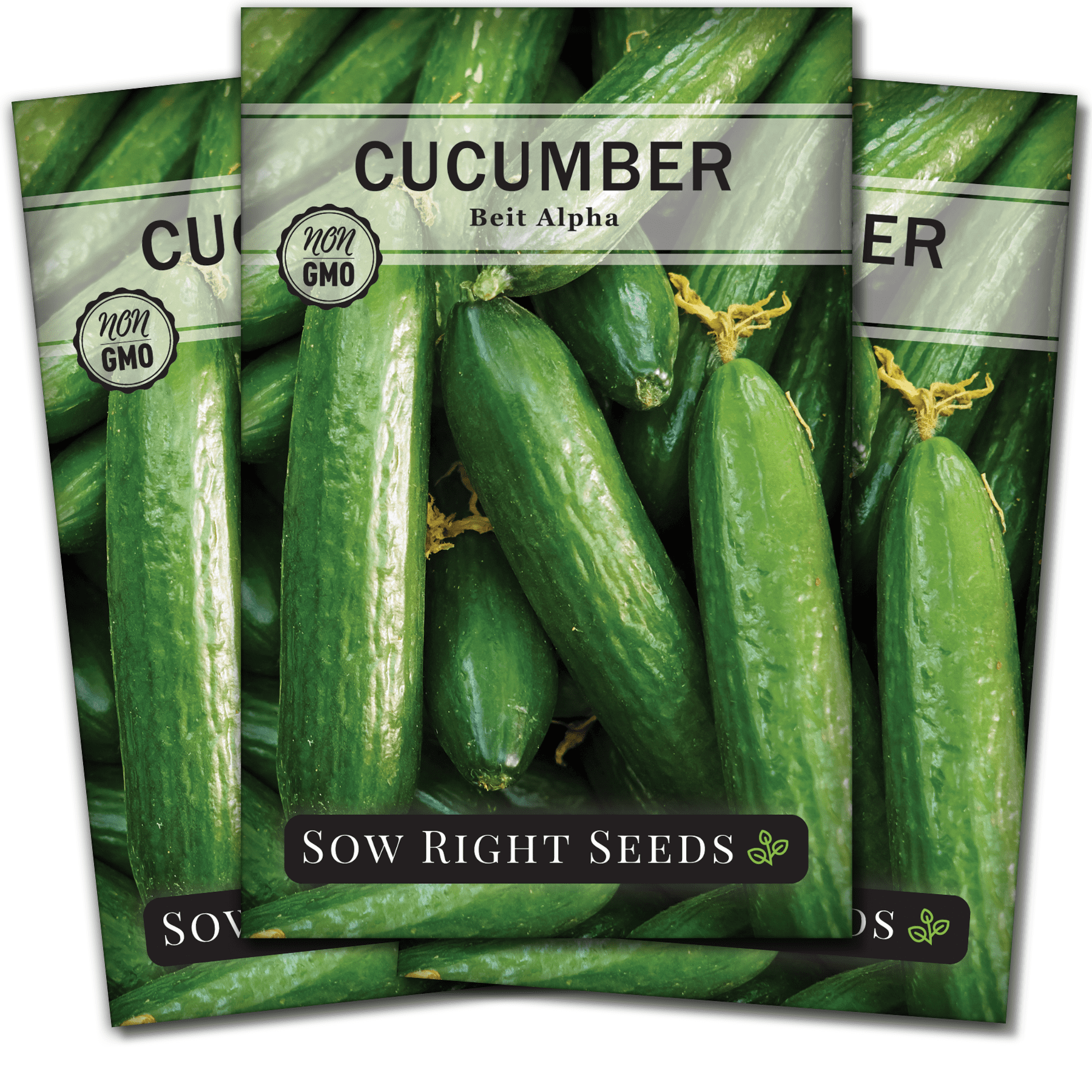 Beit Alpha Cucumber Seeds - Non GMO Heirloom Varieties for your Home ...