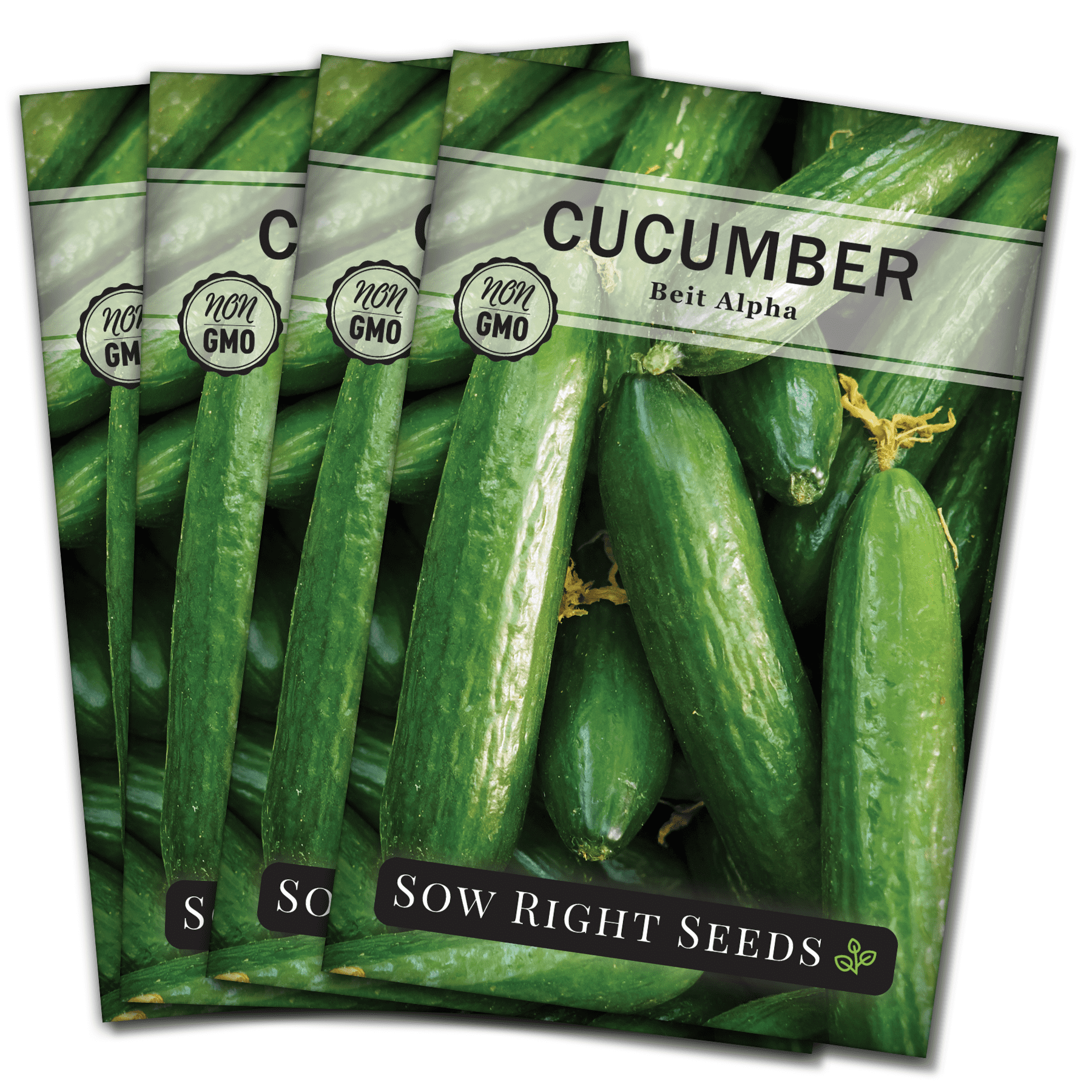 Beit Alpha Cucumber Seeds - Non GMO Heirloom Varieties for your Home ...