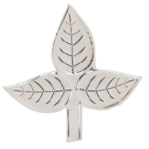 Bel Patra for Shivji Pooja Abhishekam Purpose - Walmart.com
