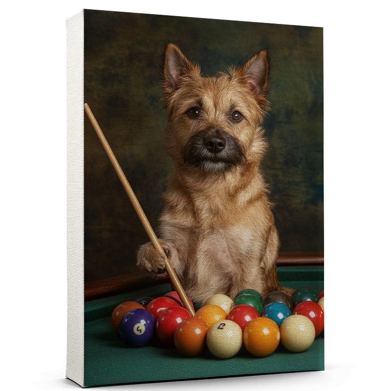 Belgian Laekenois Dog Canvas Billiards Canvas – Cute Belgian Laekenois ...