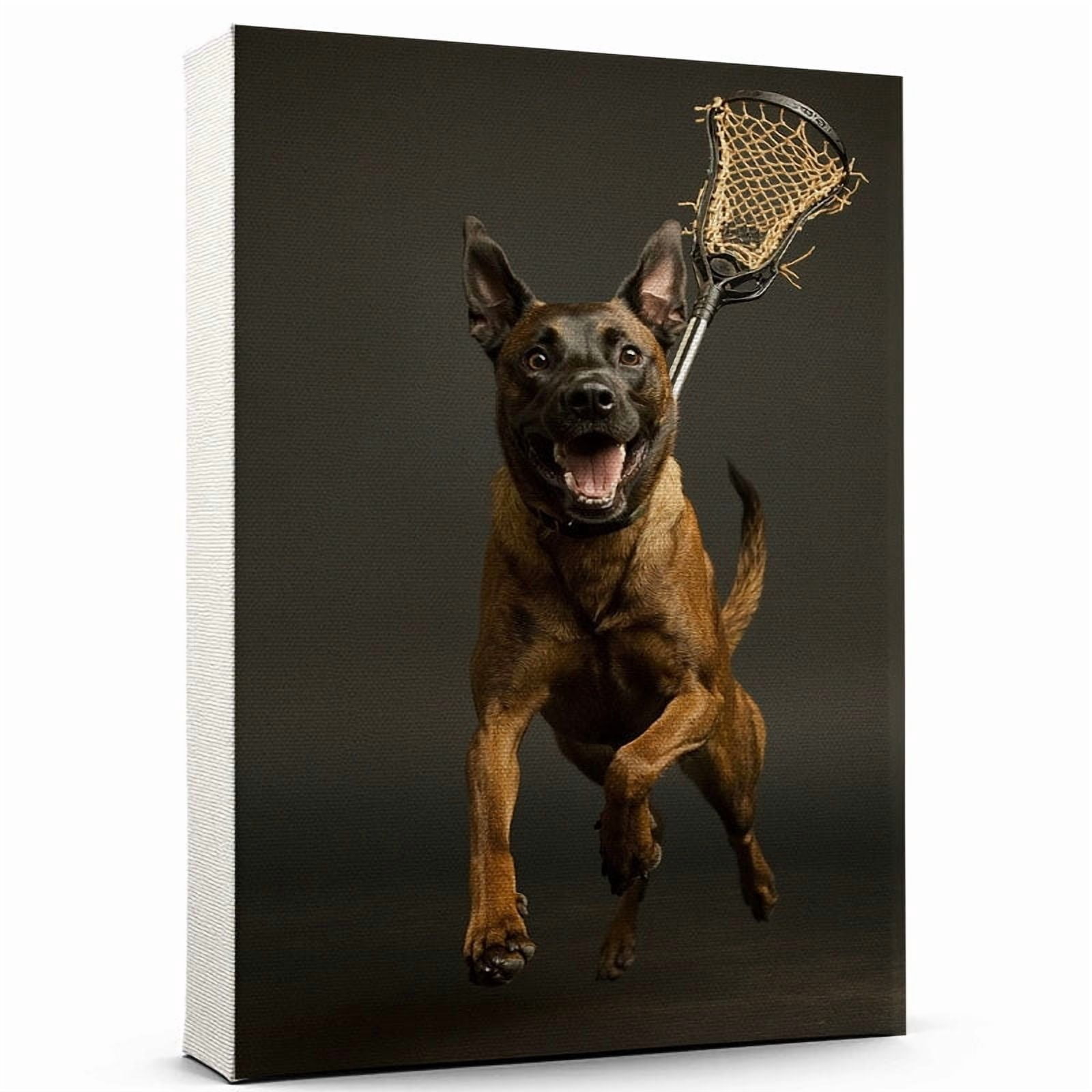 Belgian Malinois Dog Stretched Canvas Size 8x12 Lacrosse Canvas – Funny ...