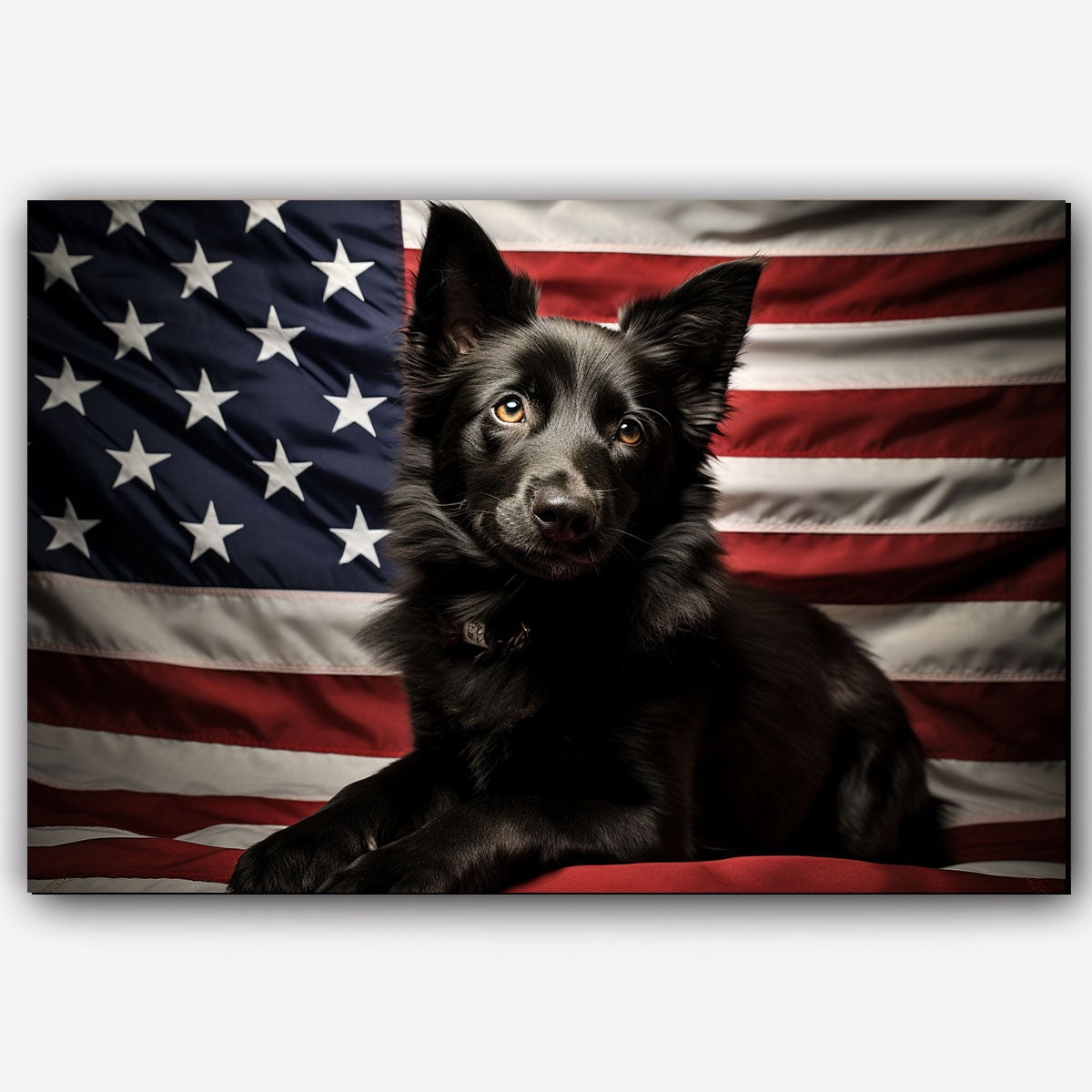 Belgian Sheepdog Dog with American Flag Canvas Wall Art Dog Pictures for Wall Decor Red White ...