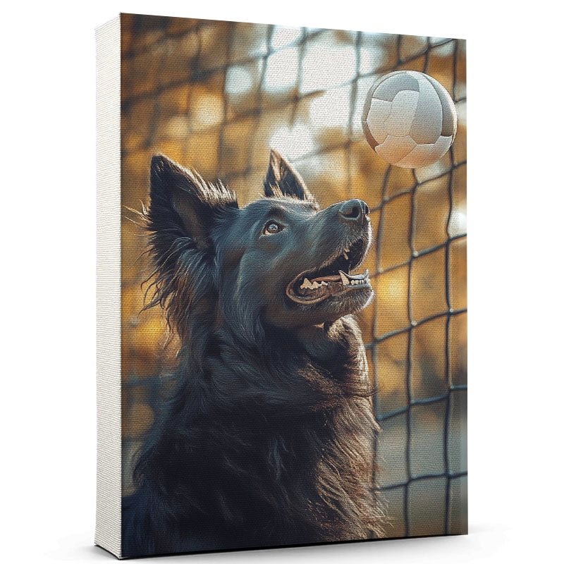 Belgian Sheepdog Dog Playing Volleyball Stretched Canvas Size 8x12 ...