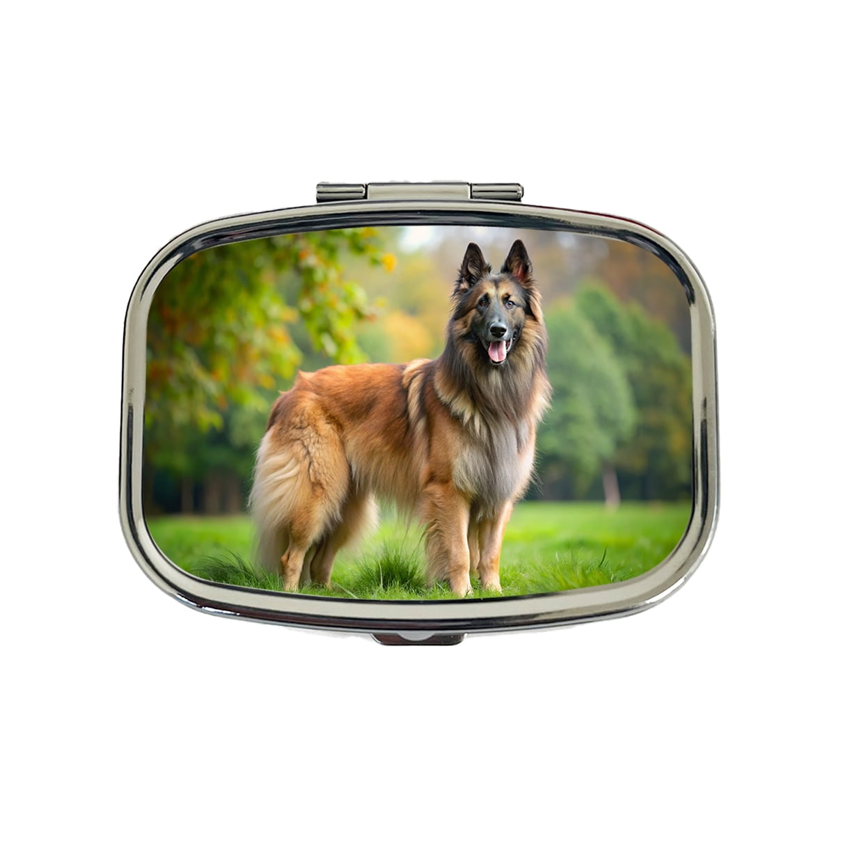 Belgian Tervuren Dog Photo Small Travel Handbag Pill Box Case - Walmart.com