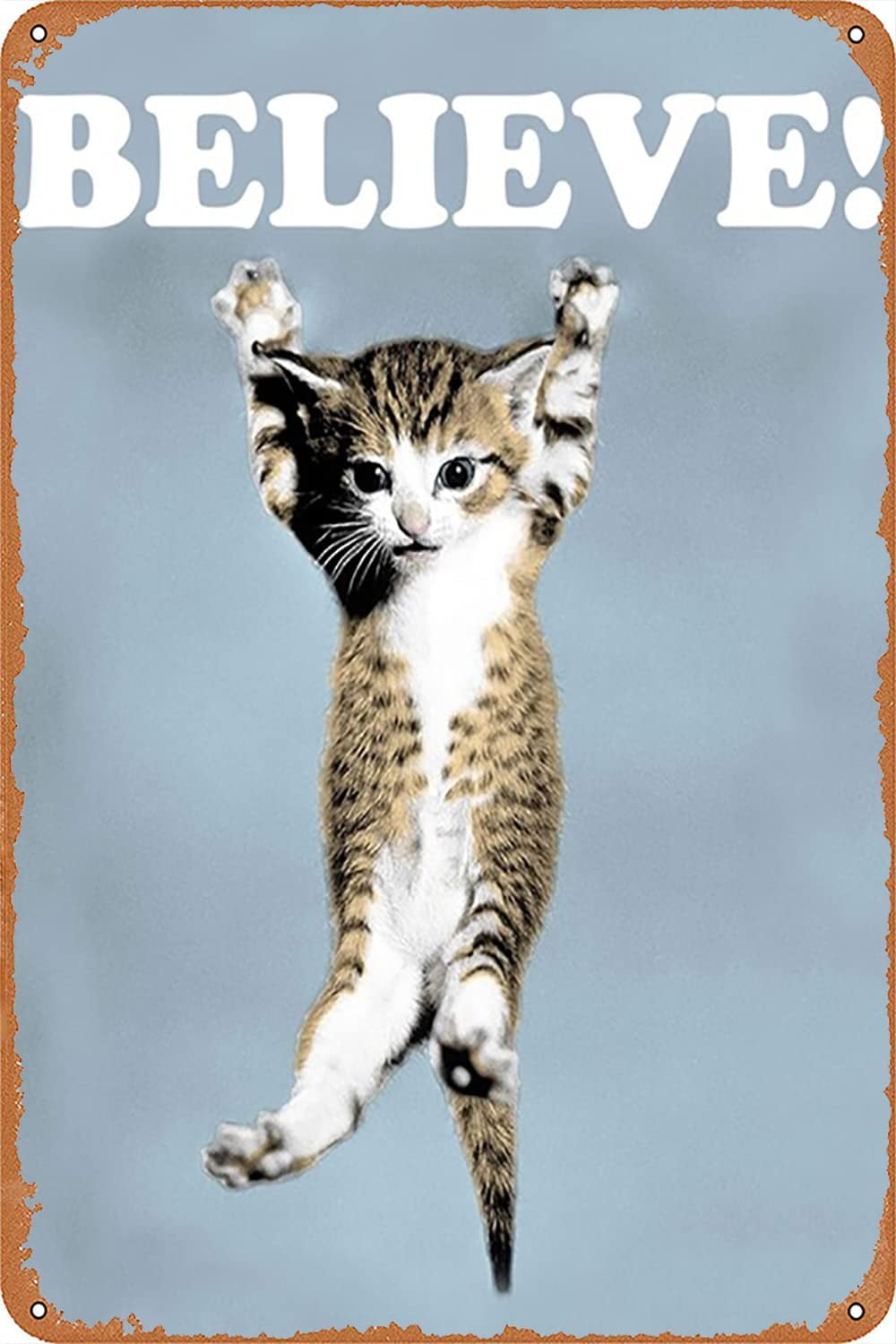 Believe Cat,Hang in There Cat Metal Tin Sign - Perfect Funny ...