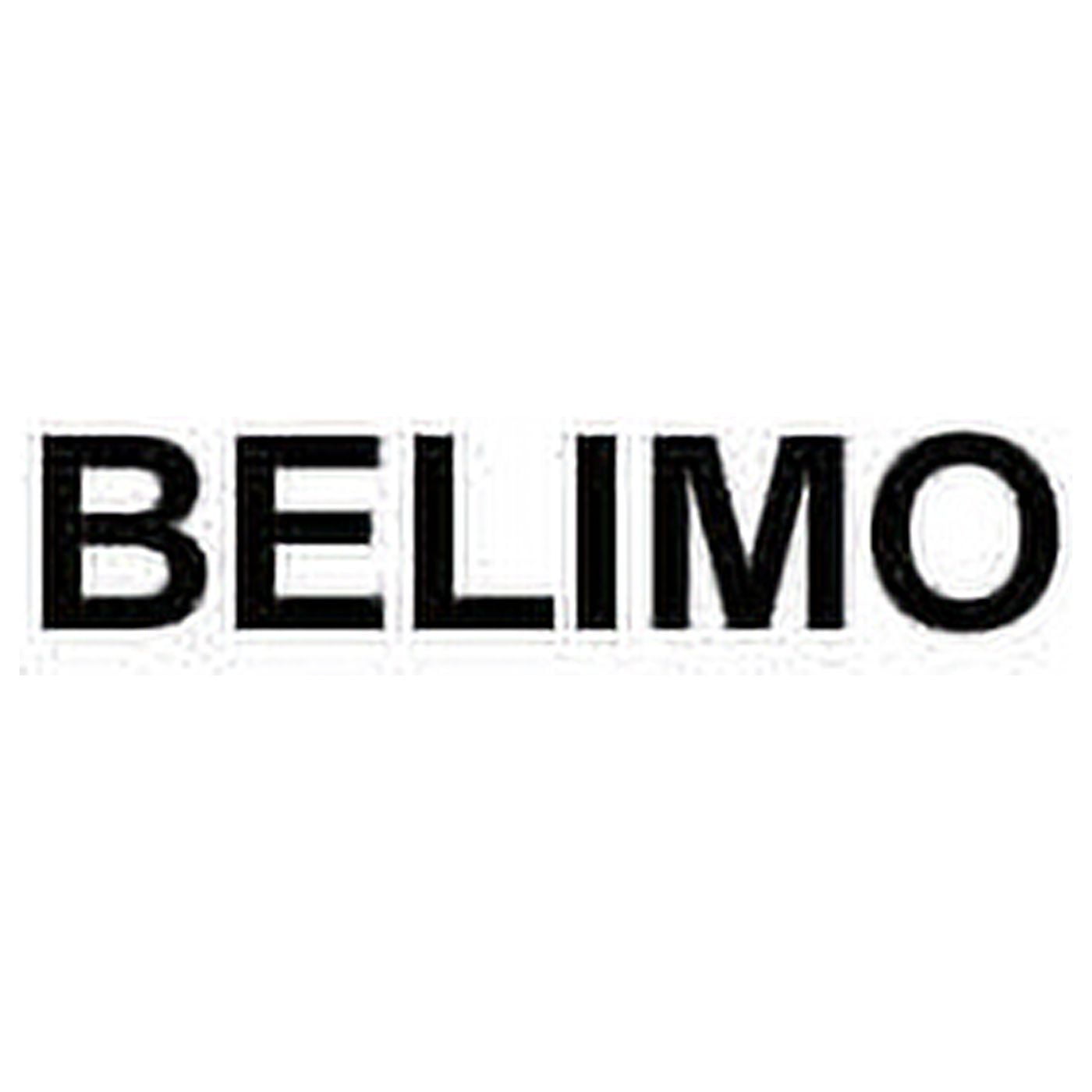 Belimo B219B+TFRB24-SR - Walmart Business Supplies