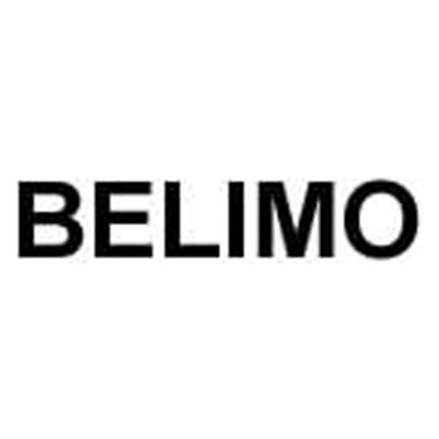 Belimo LMB24-MFT Non-Spring Return, Proportional Damper Control ...