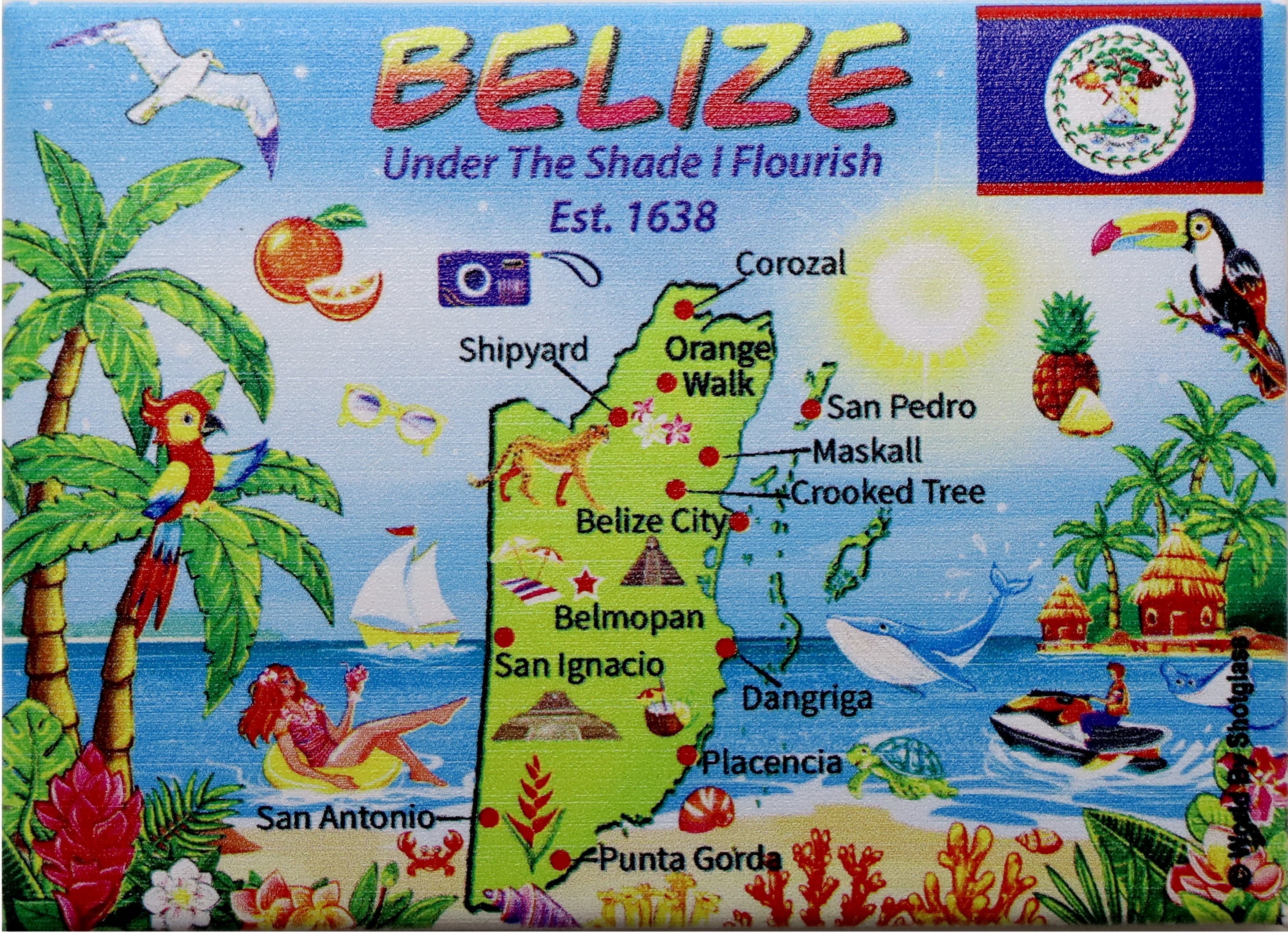 Belize Graphic Map and Attractions Souvenir Fridge Magnet 2.5" X 3.5 ...