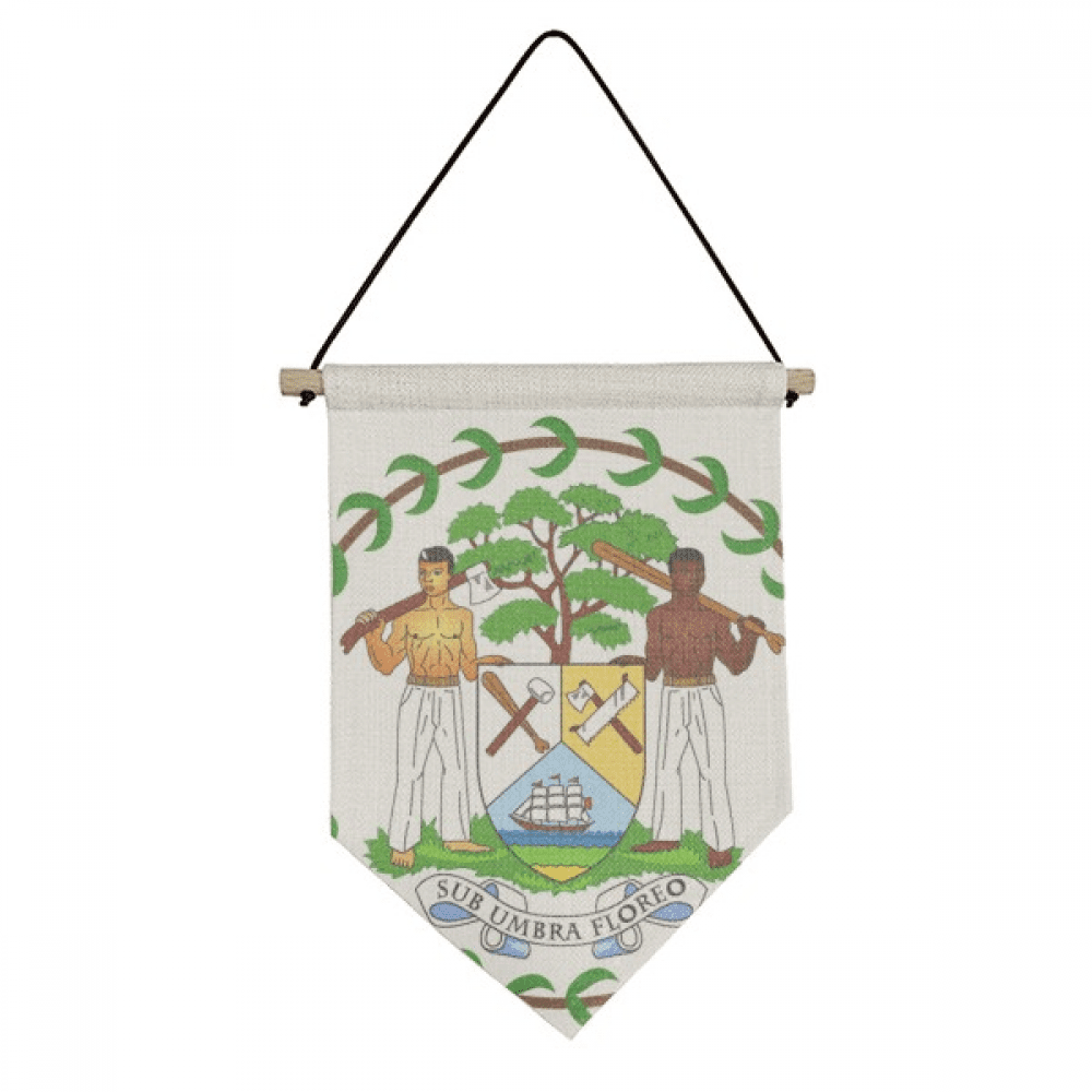 Belize National Emblem Country Canvas Flag Hanging Wall Art Decor ...