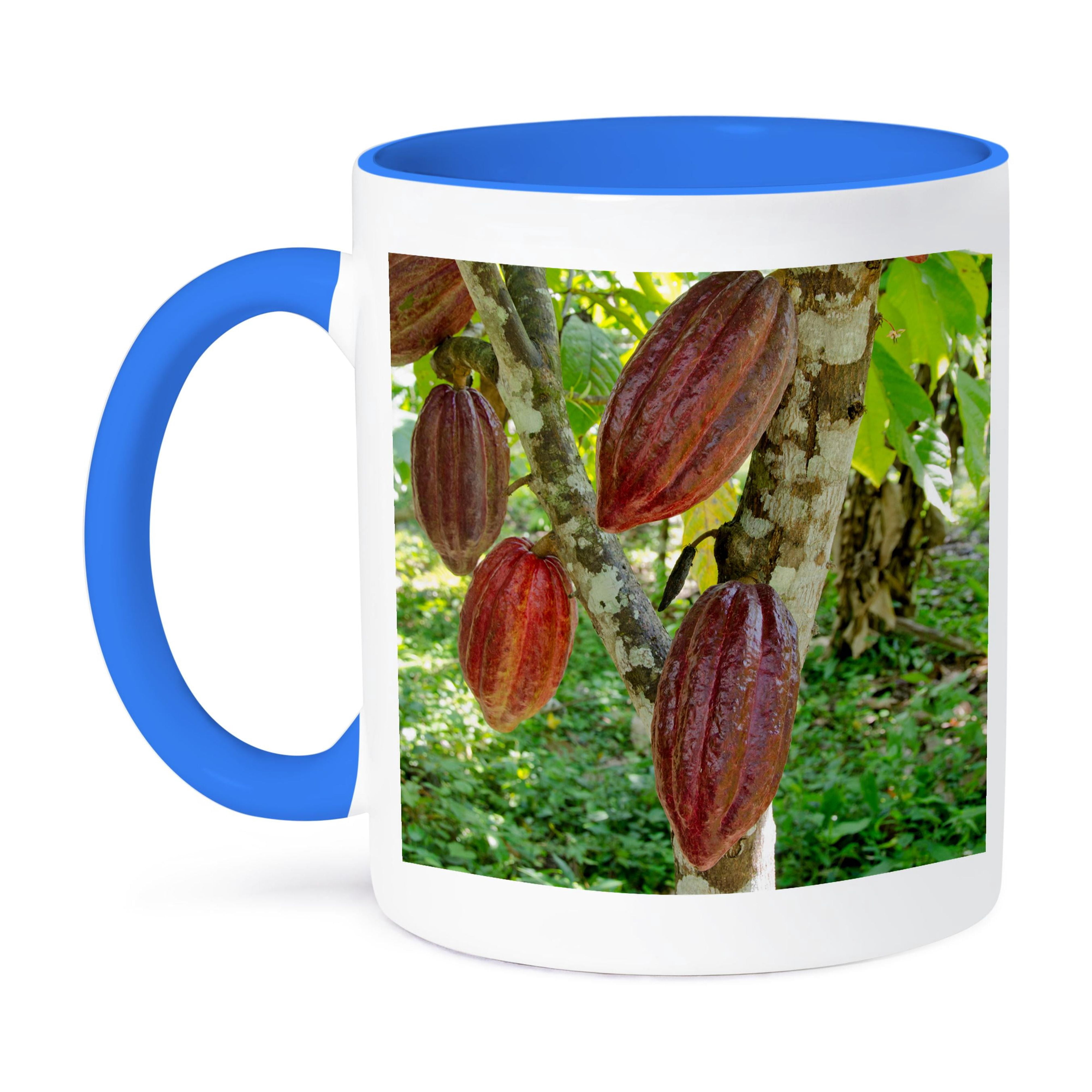 3dRose, Belize, Punta Gorda, Agouti Cacao Farm. Ripe cacao pod., 11oz ...