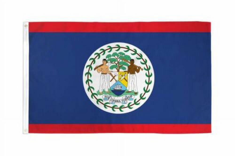 Belize flag 2X3ft poly - Walmart.com