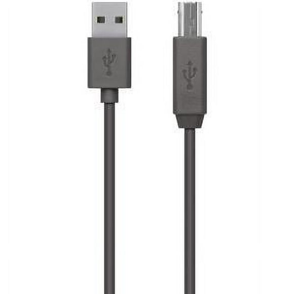USB Type a to Type B Cables