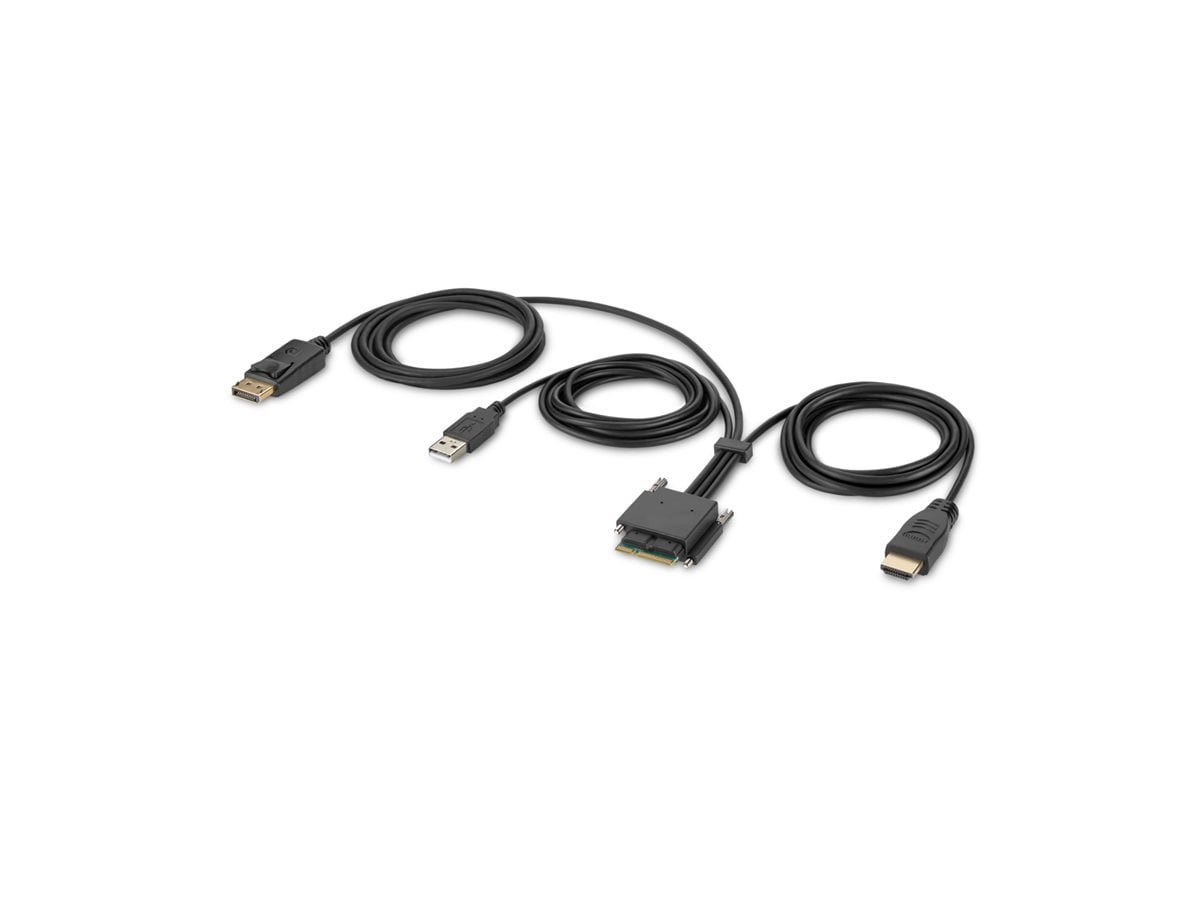 Belkin F1DN2MOD-HC-HP6 6 ft. Modular HDMI & DP Dual Head Host Cable ...