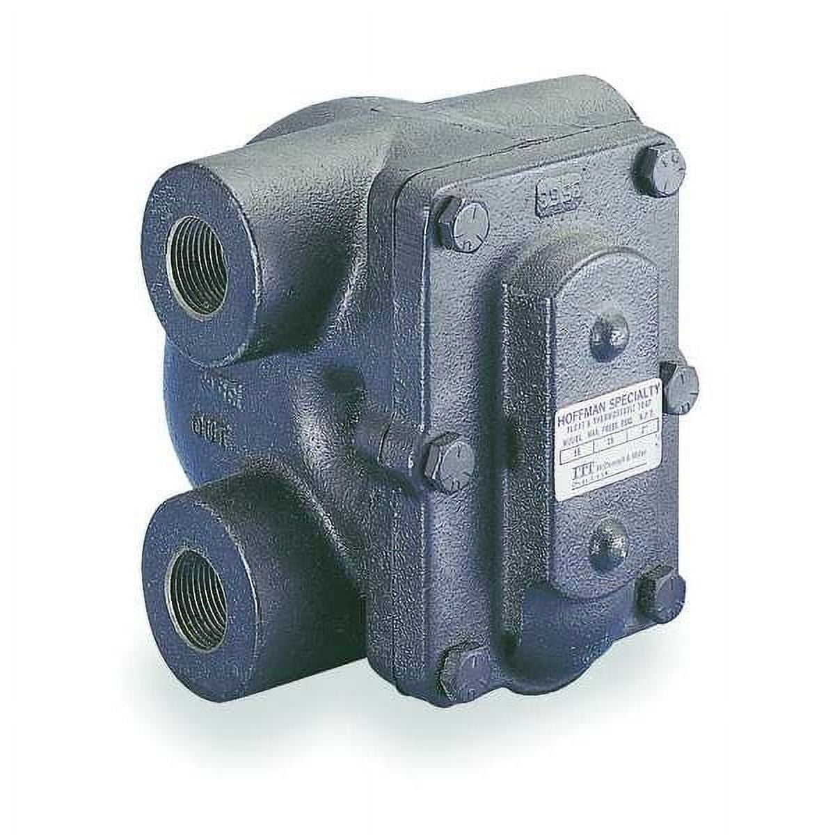 Bell & Gossett Steam Trap,Cast Iron,15 psi,1 1/4 in FT015H-5 - Walmart.com