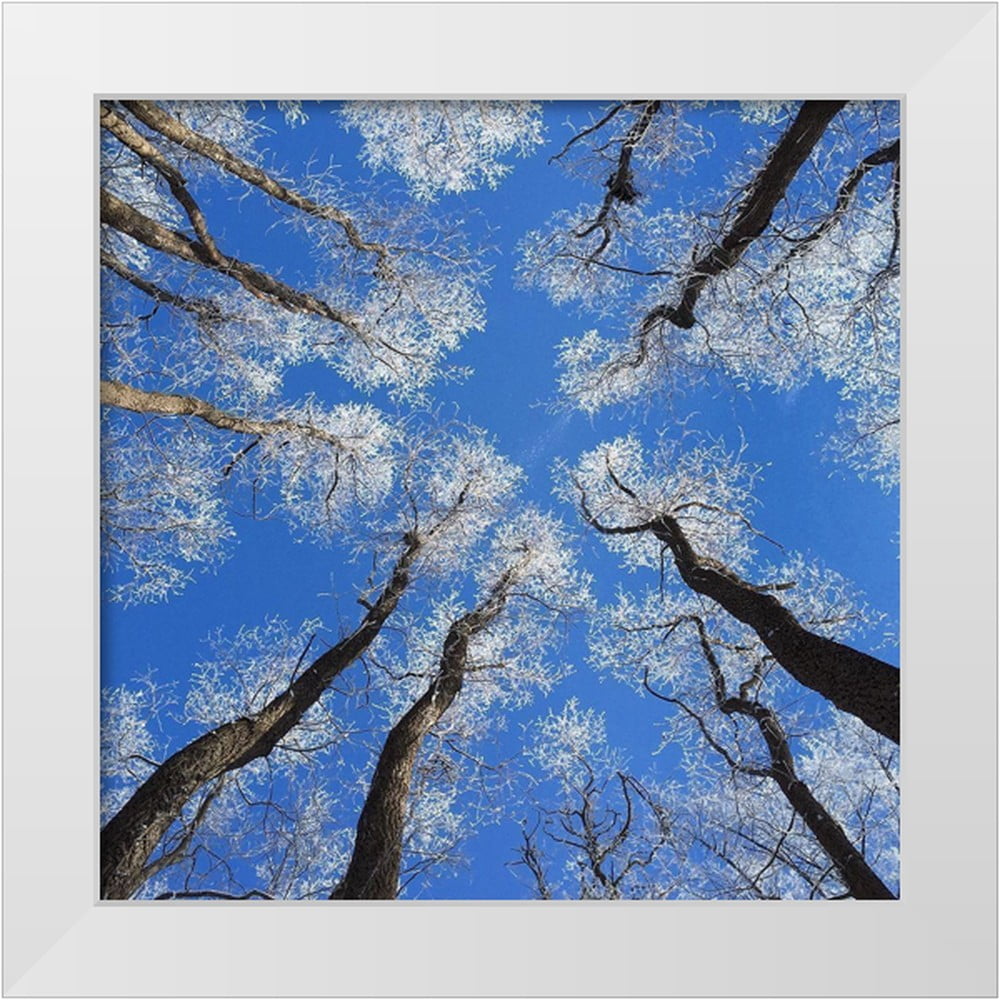 Bell, Jan 12x12 White Modern Wood Framed Museum Art Print Titled ...