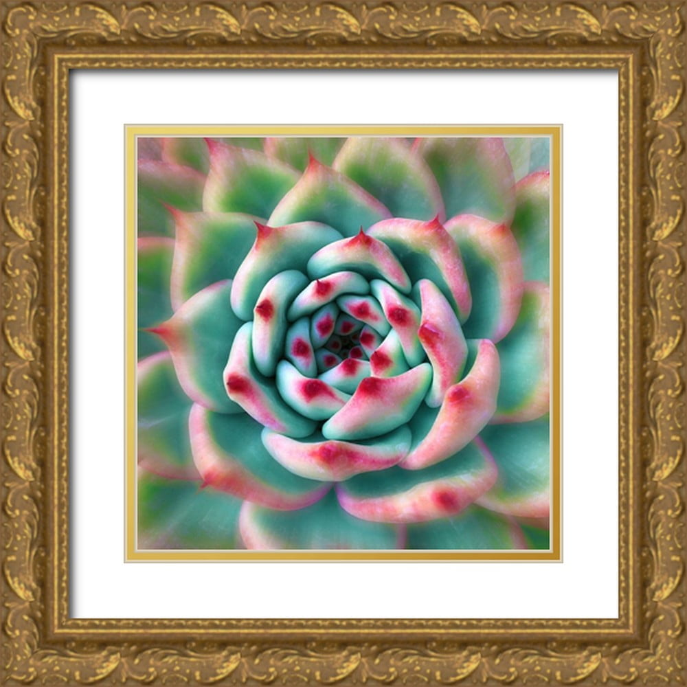 Bell, Jan 15x15 Gold Ornate Wood Framed with Double Matting Museum Art ...