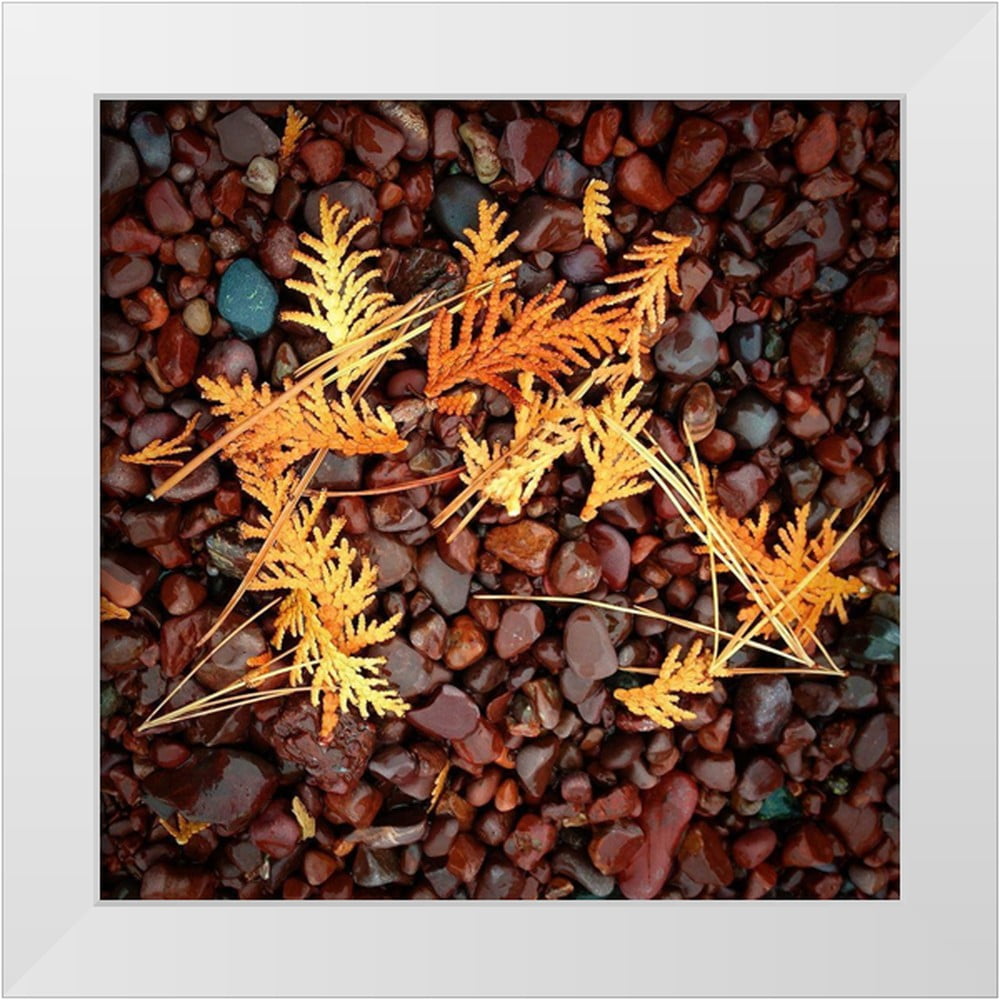 Bell, Jan 26x26 White Modern Wood Framed Museum Art Print Titled ...