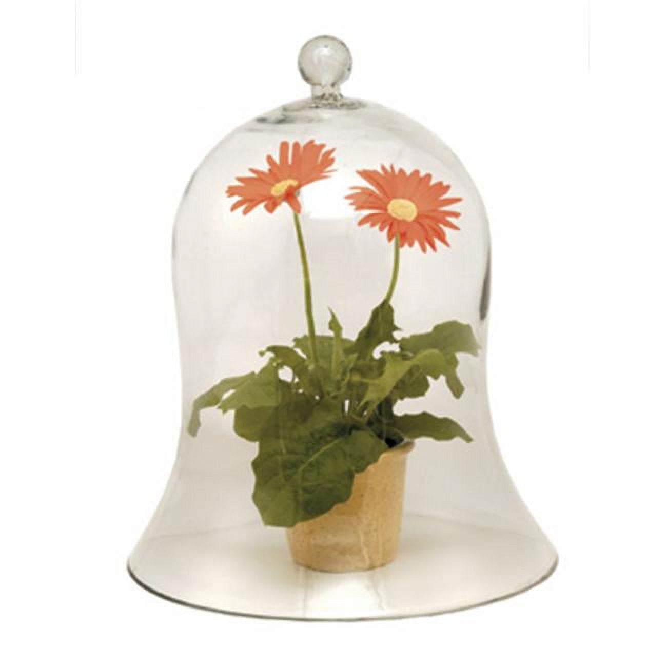 Bell Jar Garden Planter - Clear - Walmart.com