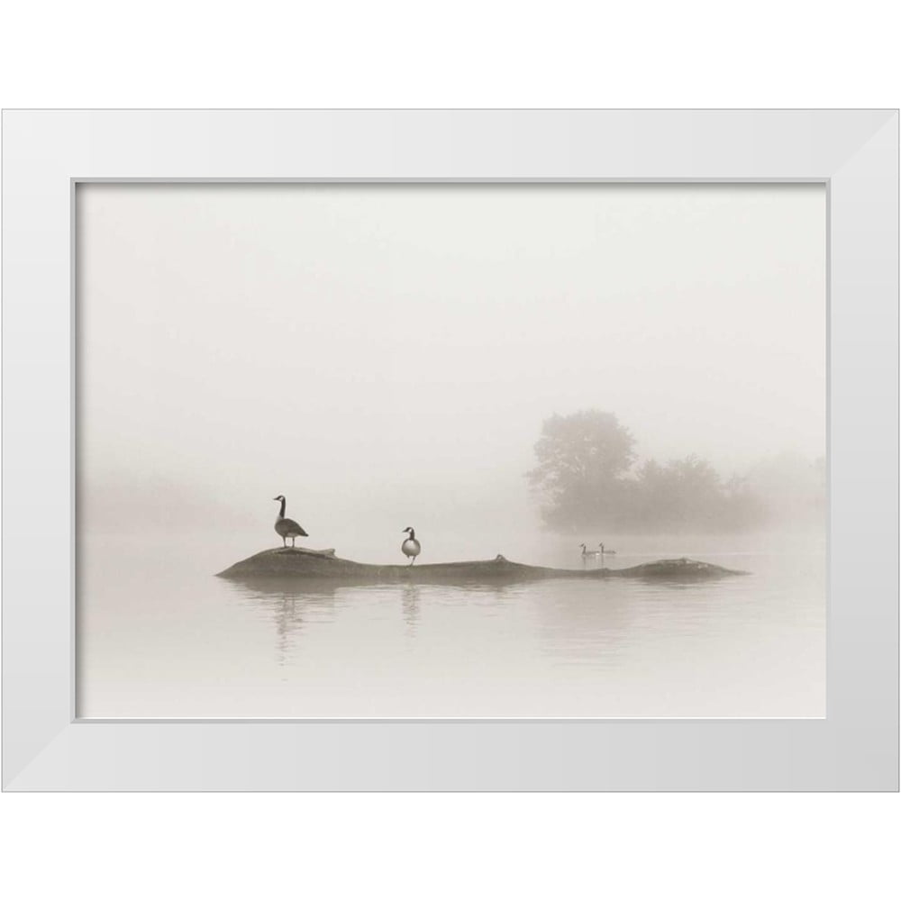 Bell, Nicholas 32x24 White Modern Wood Framed Museum Art Print Titled ...