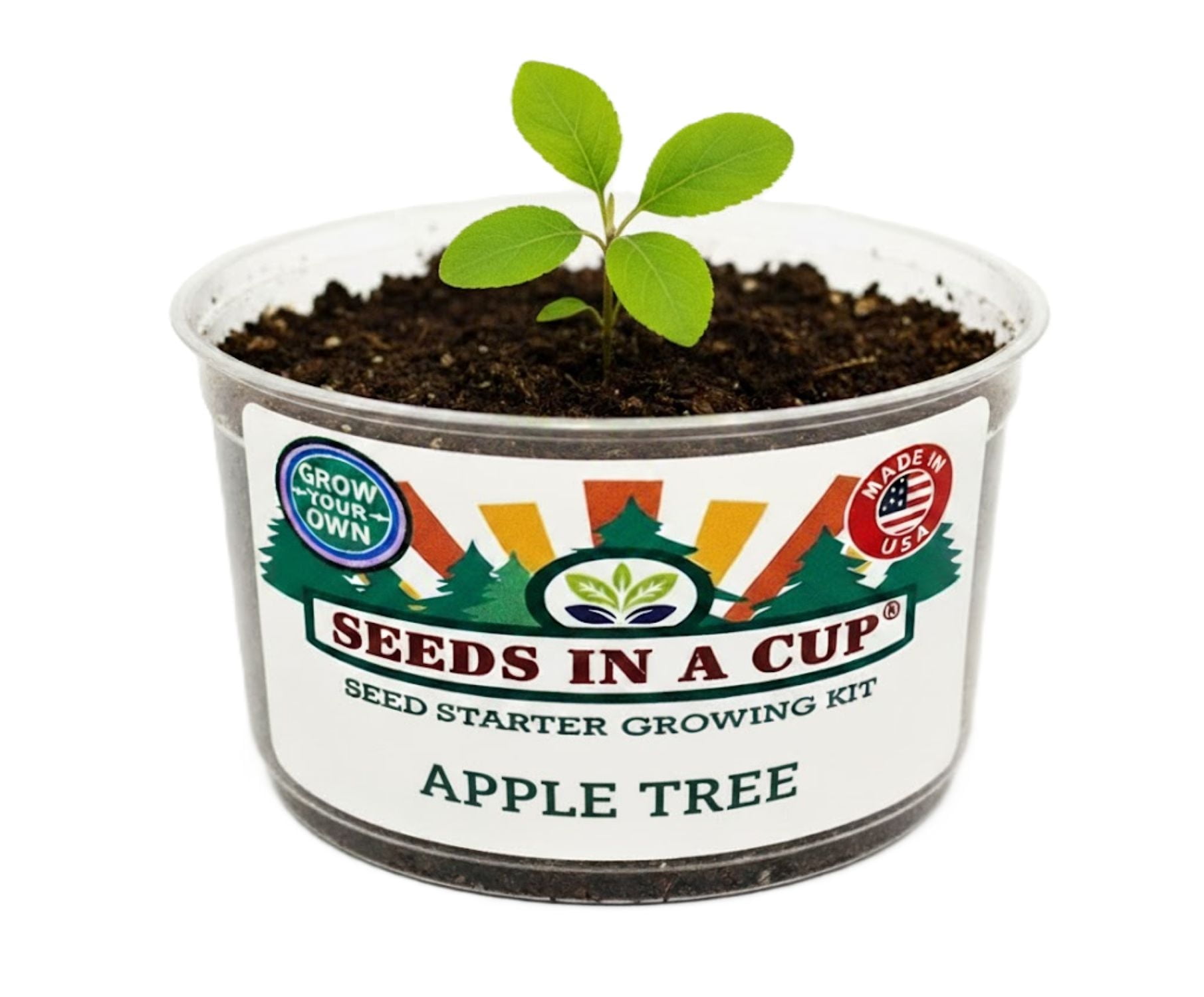 Seeds In A Cup Bell Pepper Vegetable Plant Growing Kits with Seed ...