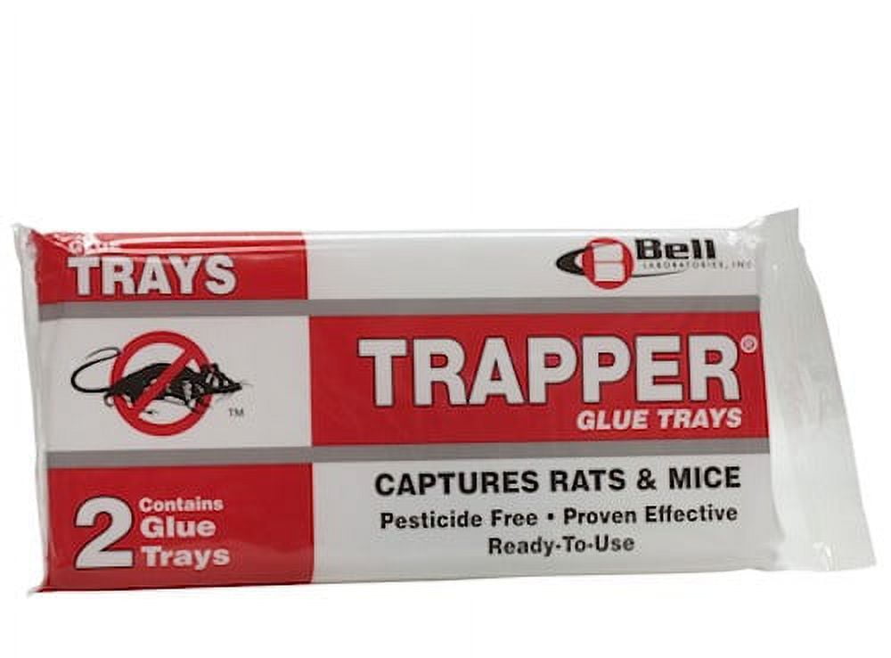 Bell Trapper Rat Glue Trap (2 Trays) - Walmart.com
