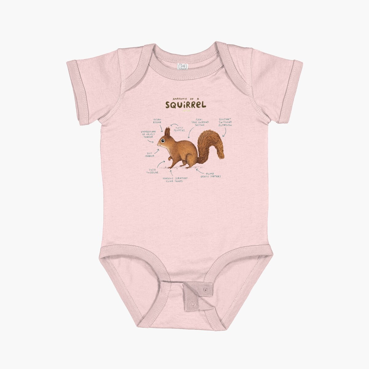 Bella Canvas Anatomy Of A Squirrel Short Sleeve Baby One-Piece Newborn ...