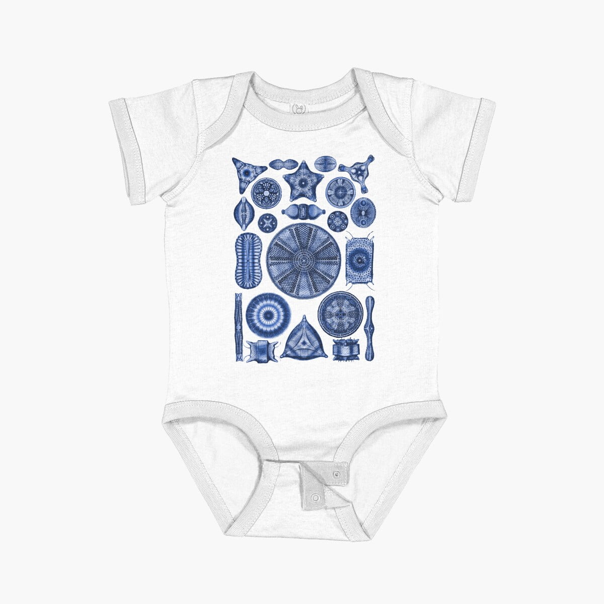Bella Canvas Ernst Haeckel Diatoms Indigo Blue Short Sleeve Baby One ...
