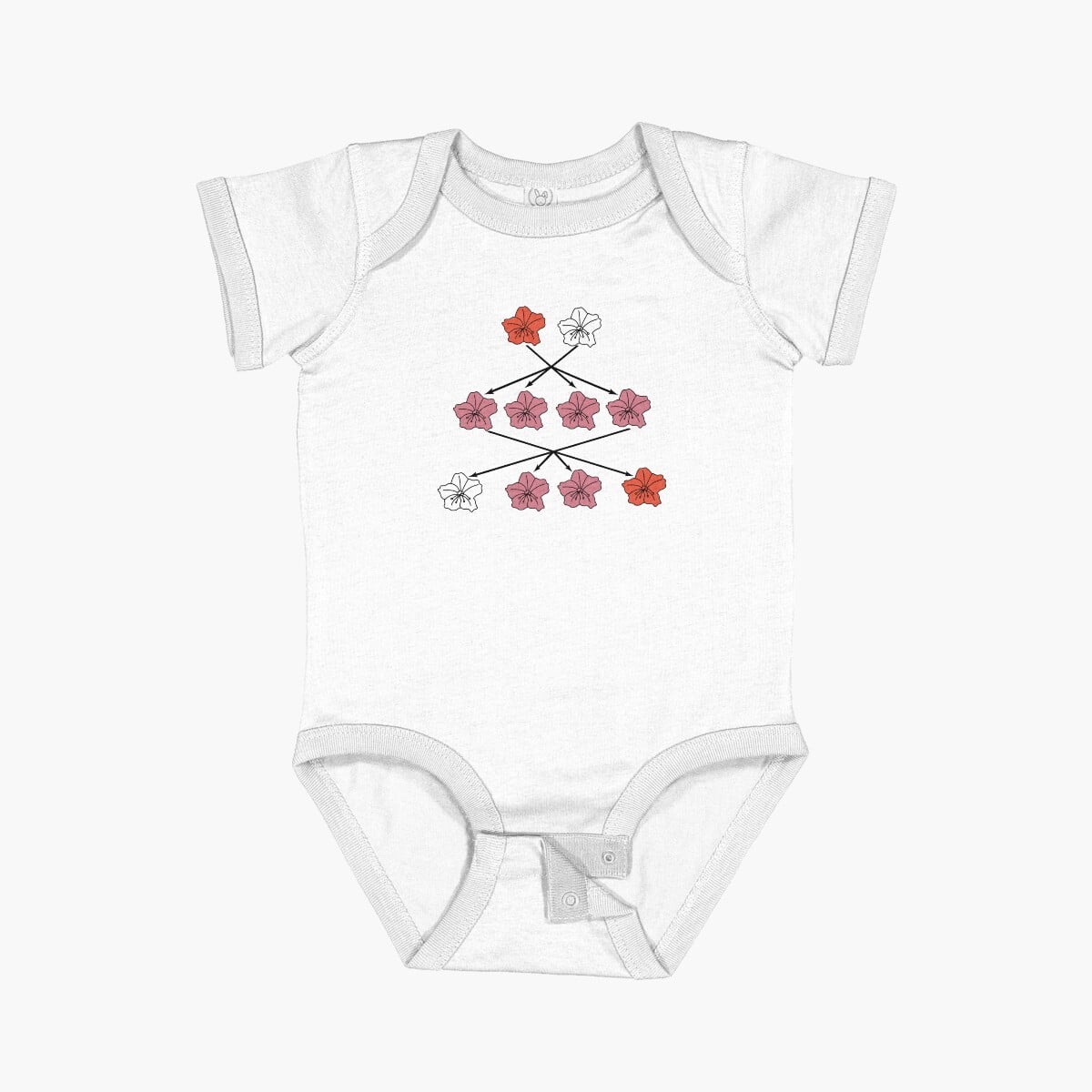 Bella Canvas Mendel Flower Genetics Experiment Diagram Short Sleeve ...