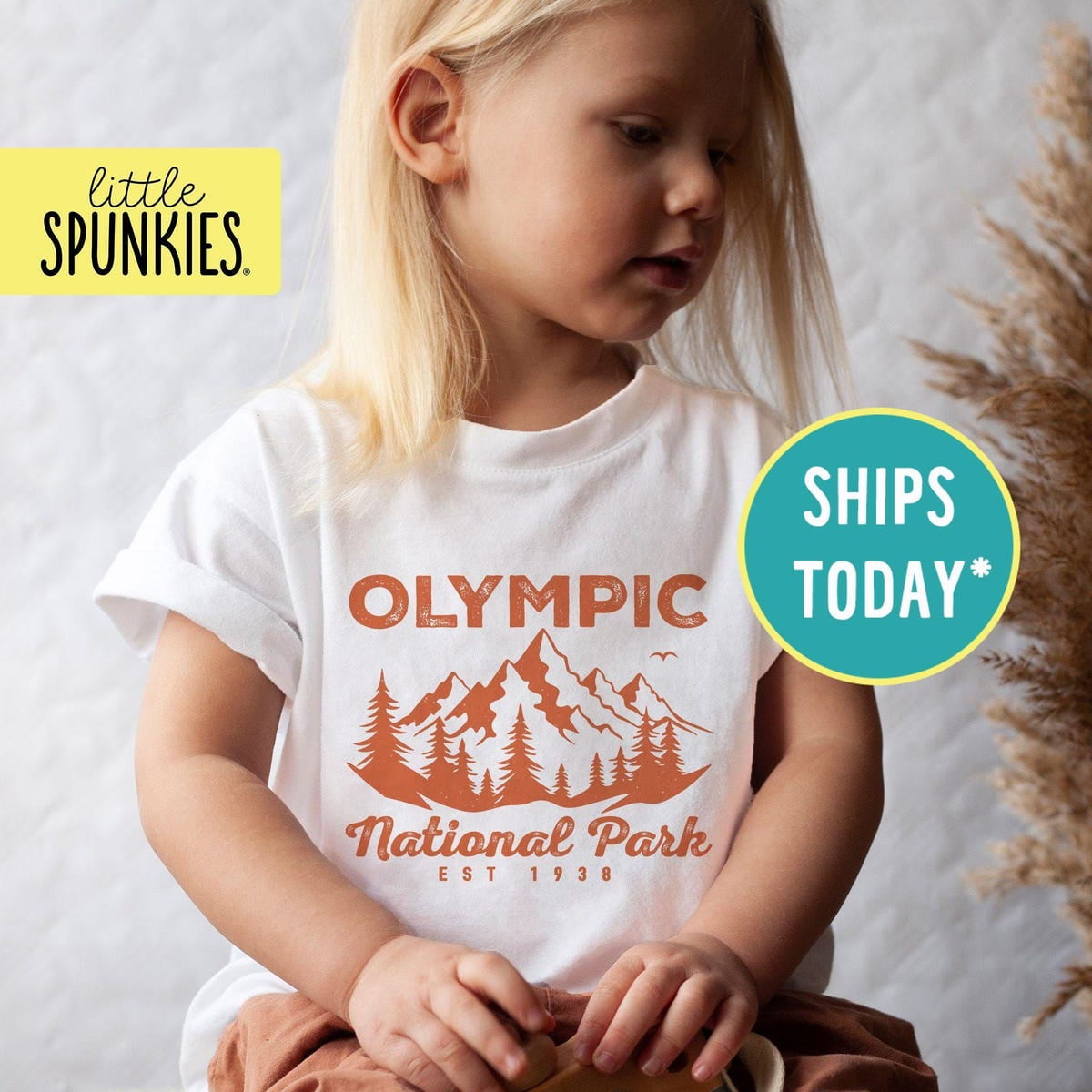 Bella Canvas Olympic National Park T-Shirt, Pacific Northwest ...