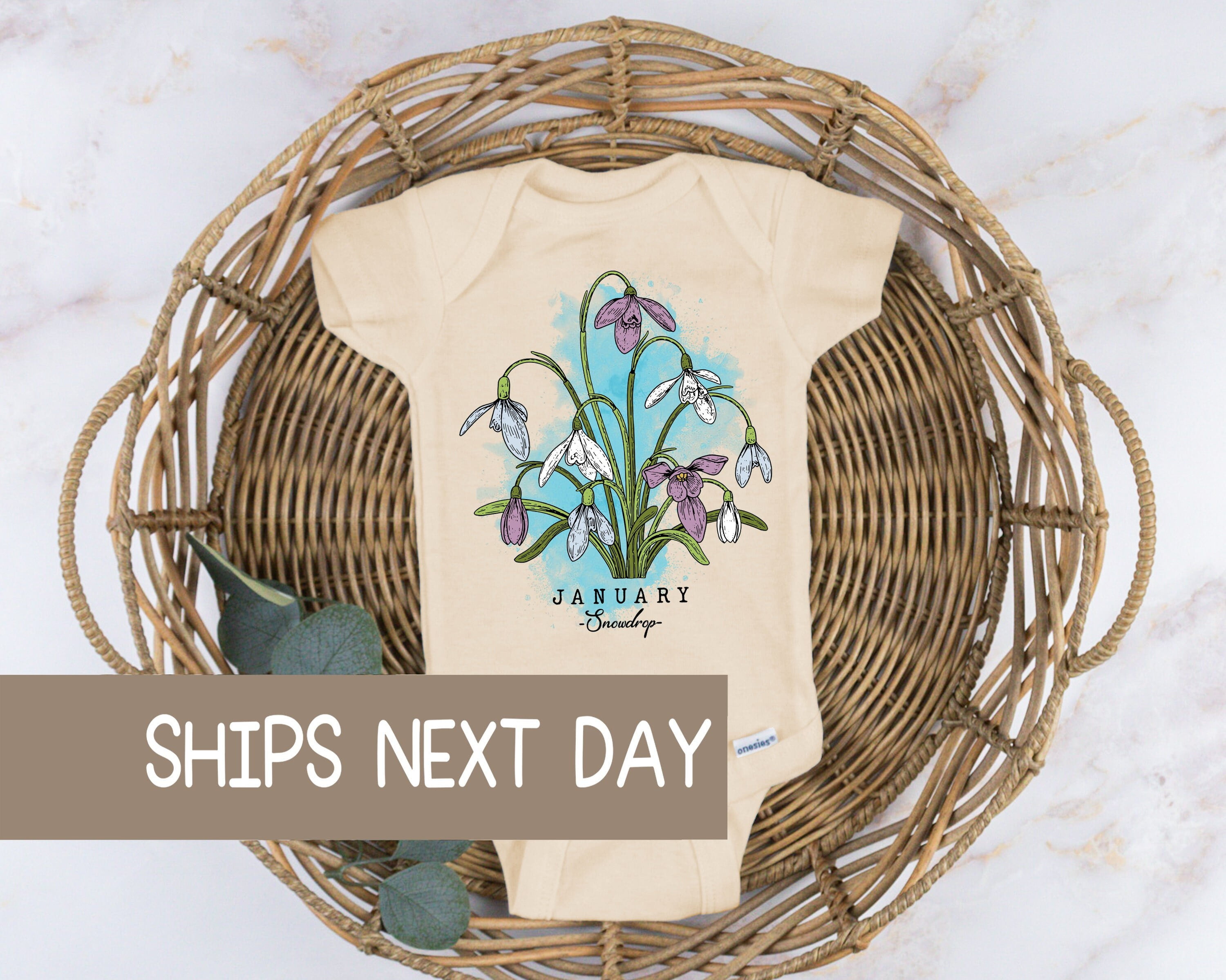 Bella Canvas with January Flower, 1St Birthday Girl Outfit, First ...