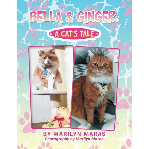 Bella & Ginger : A Cat's Tale - Walmart Business Supplies