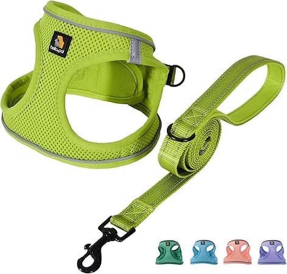 BELLA & PAL Puppy Harness and Leash Set,Reflective Adjustable Dog ...