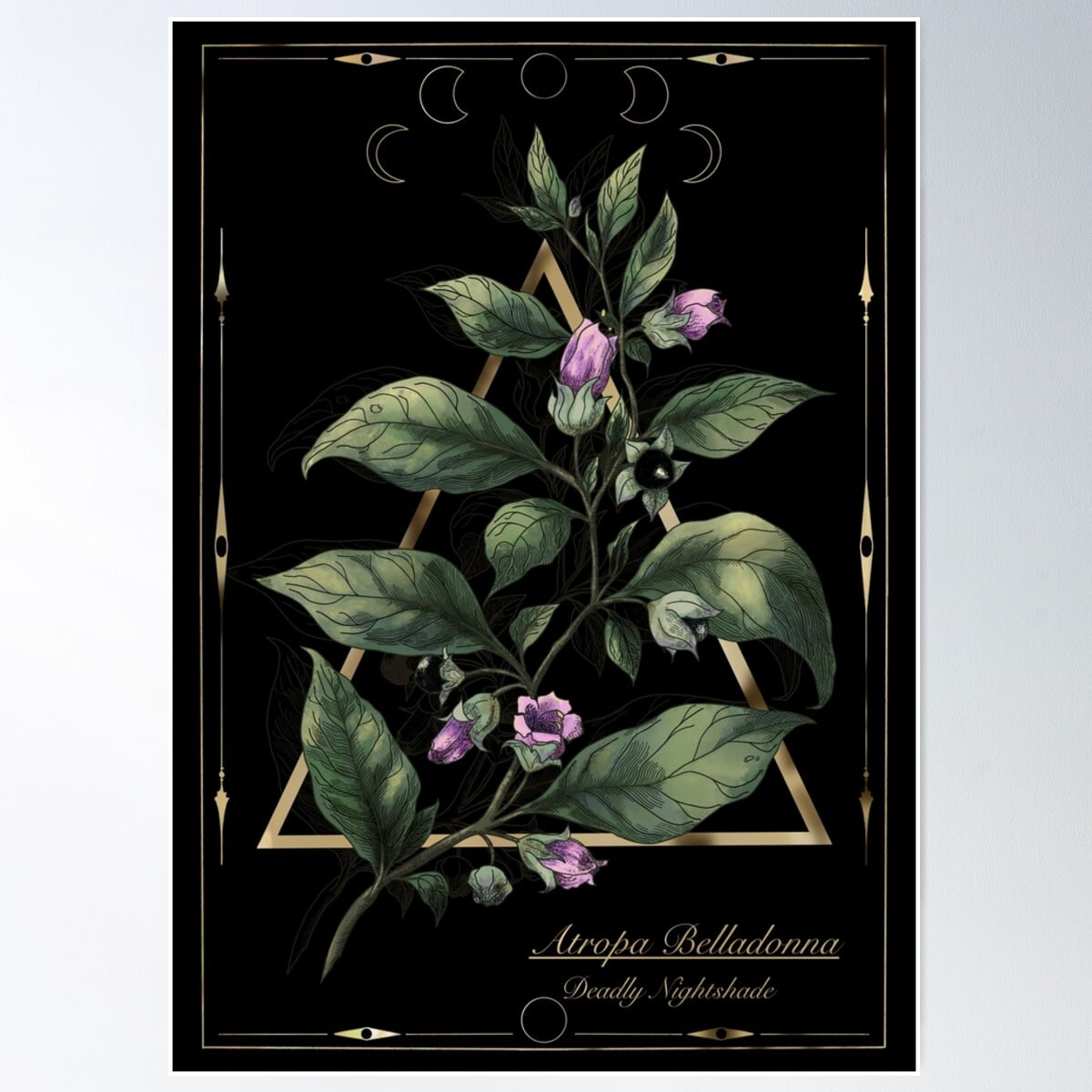 Belladonna. Deadly Nightshade. Magical Herbs Poster Wall Art, Modern ...