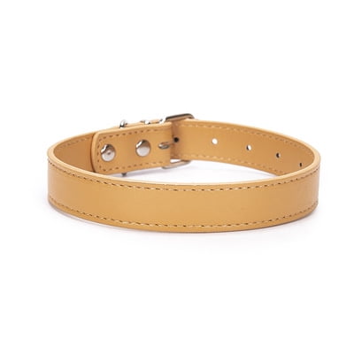 Bellaven Basic Classic Padded Leather Pet Collars for Cats Puppy Small ...