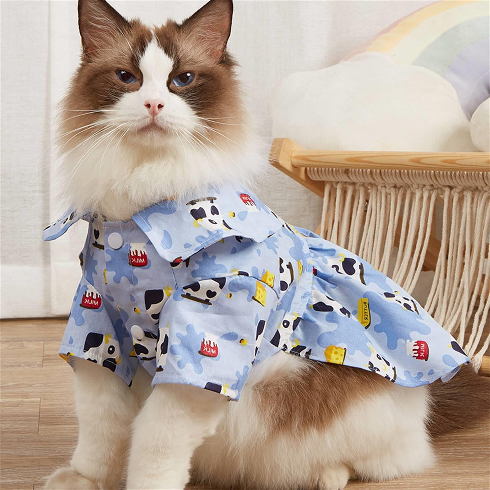 Cute Cats In Clothes