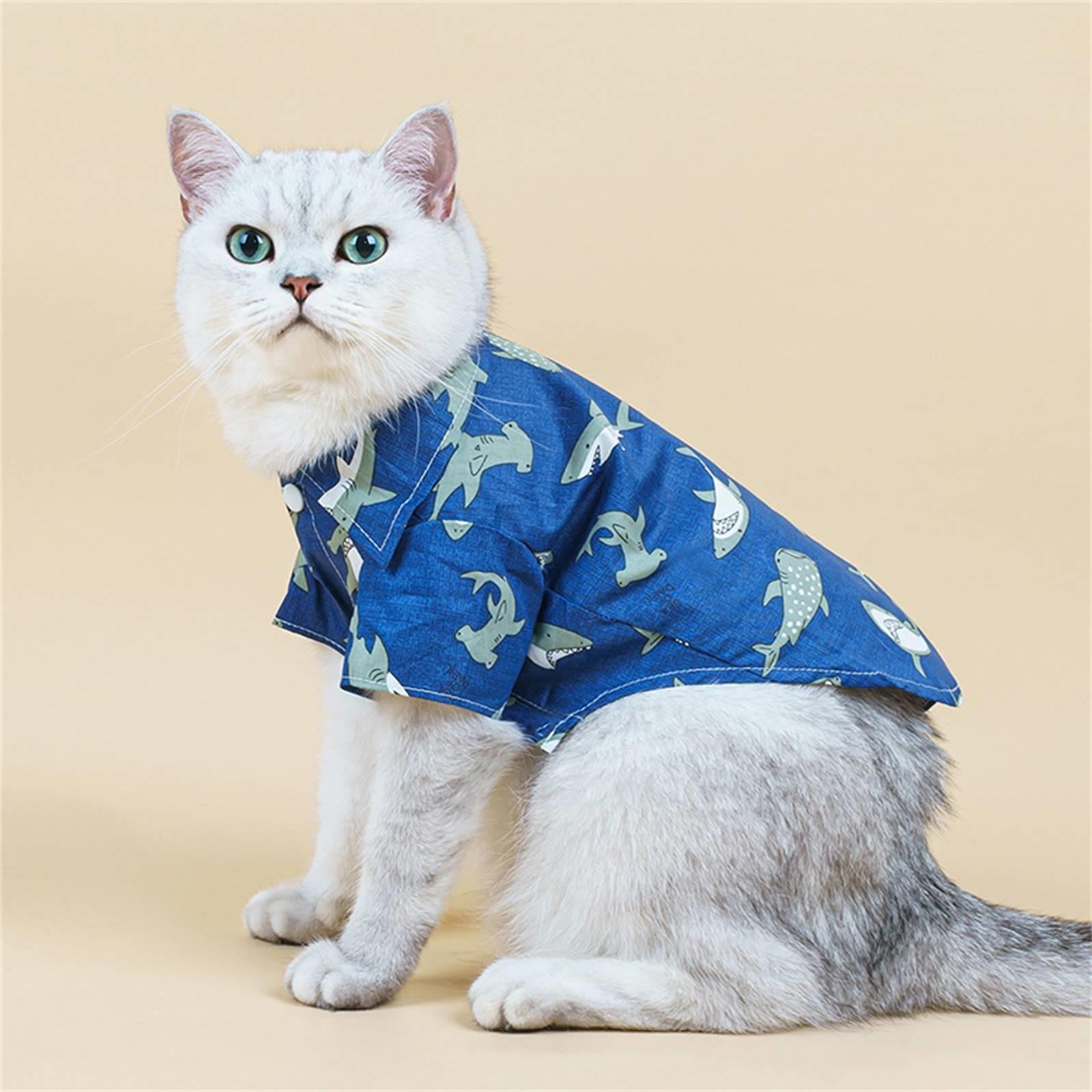 Cute Cats In Clothes