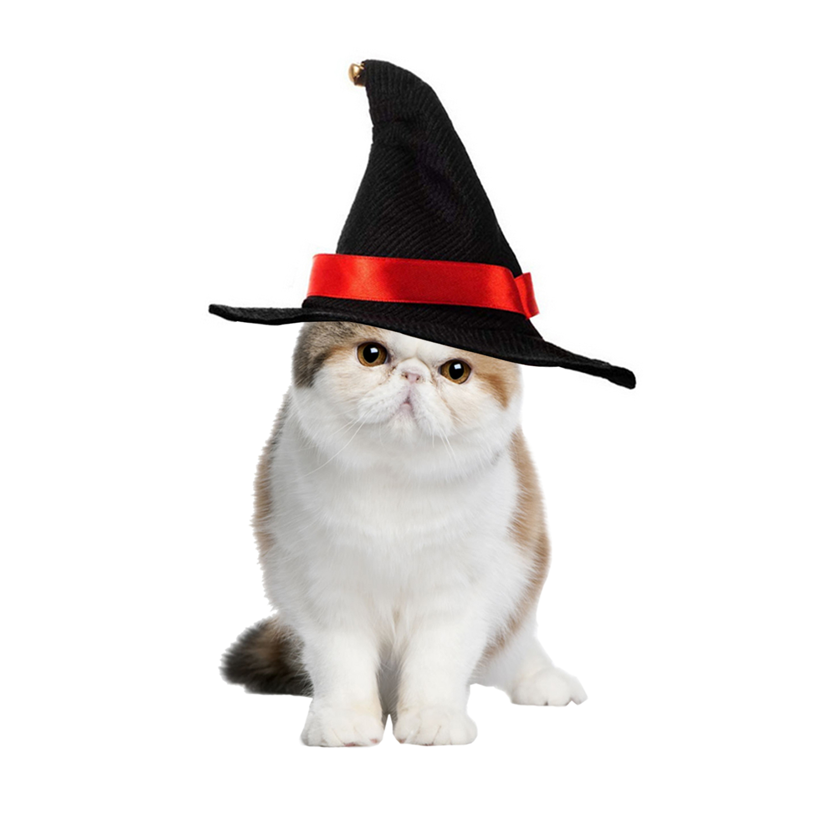Bellaven Vampire Cat Hat Pet Hat Pet Halloween Vampire Hat for Cat ...
